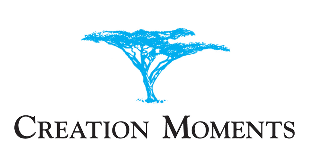 Creation Moments